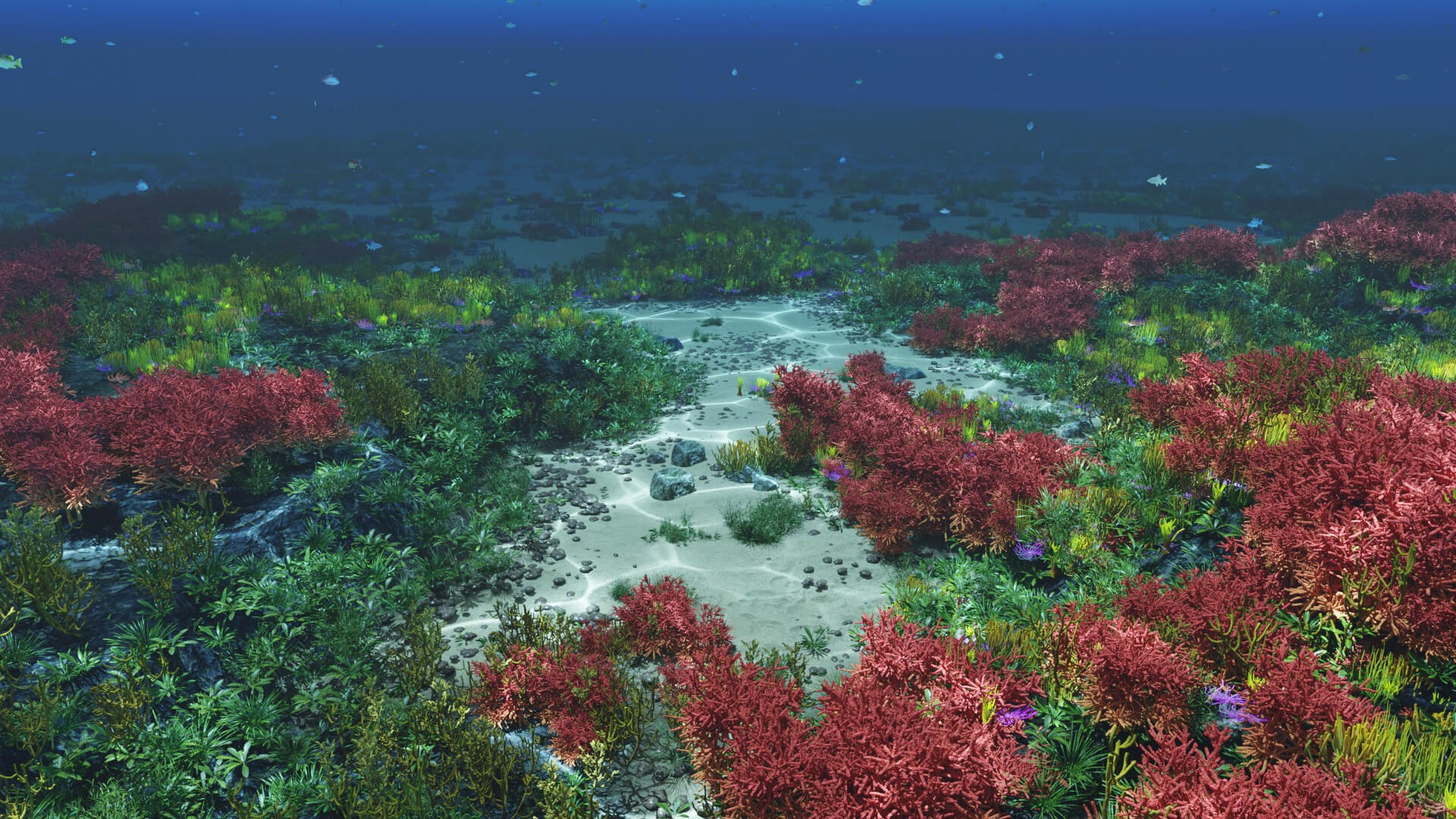Underwater Seabed - 3D Model by raffyraffy