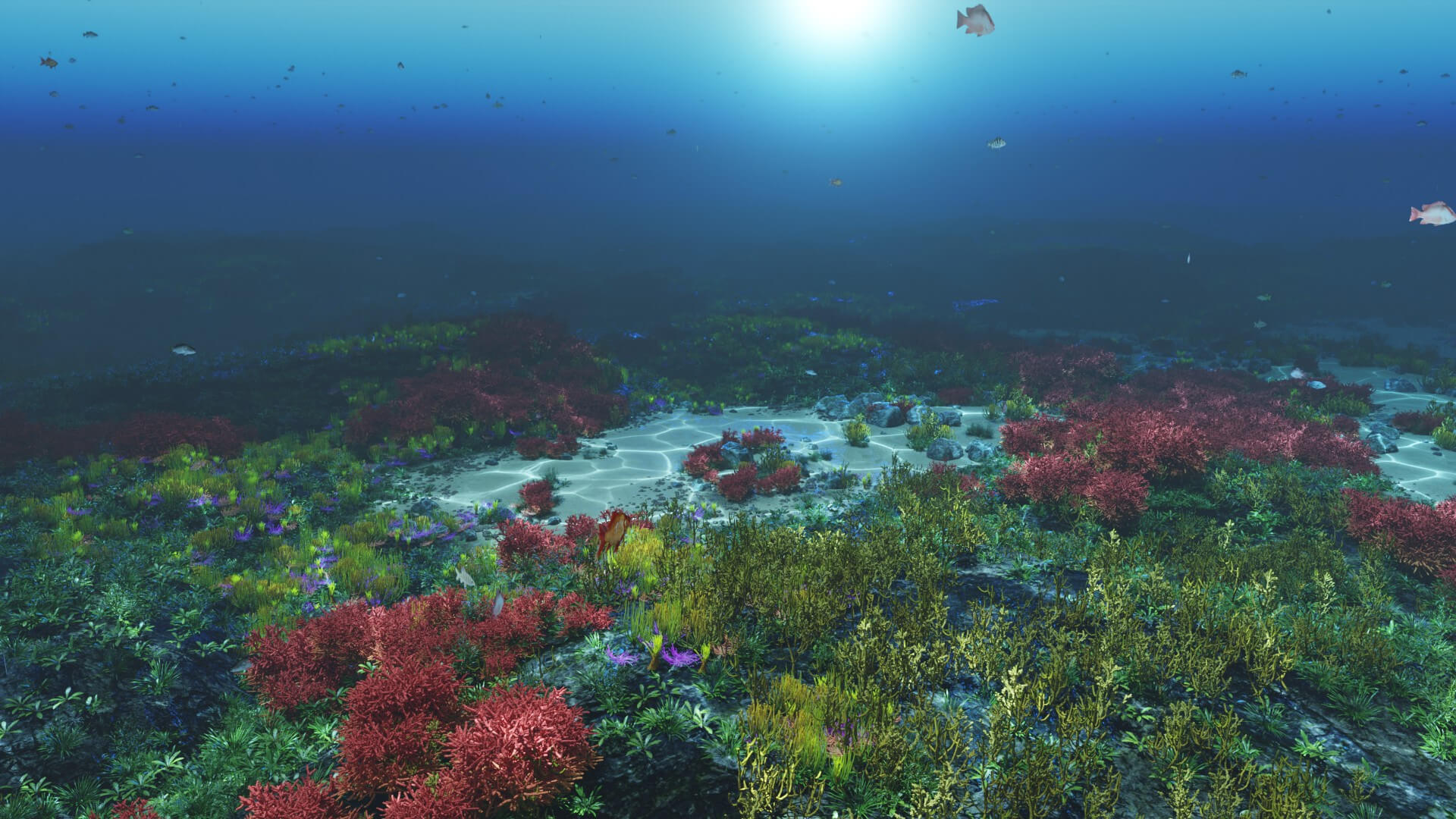 Underwater Seabed - 3D Model by raffyraffy