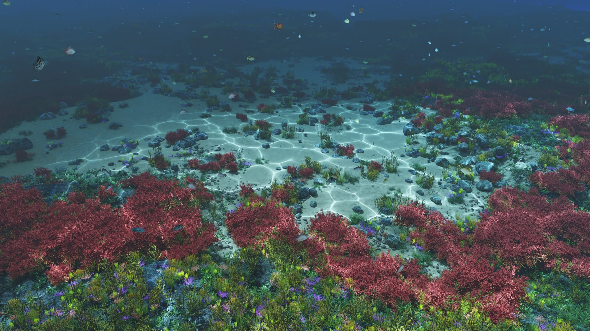 Underwater Seabed - 3D Model by raffyraffy