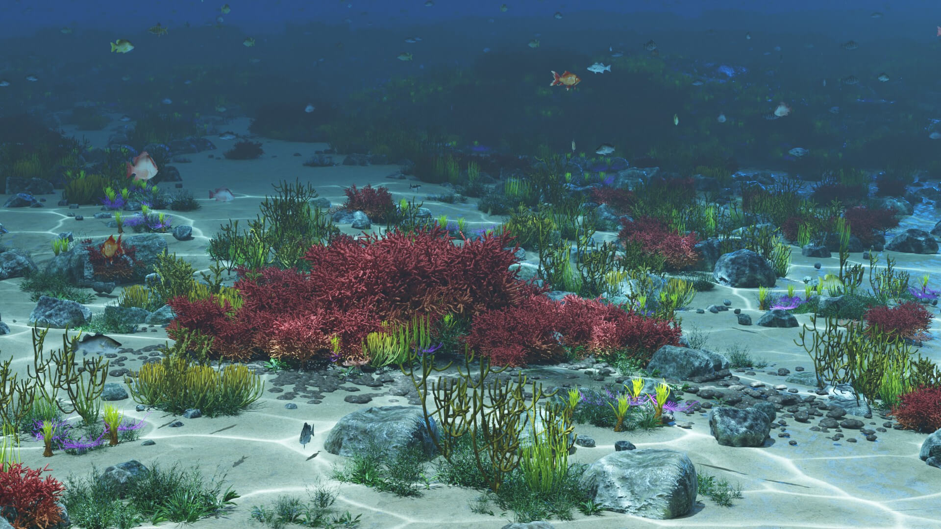 Underwater Seabed - 3D Model by raffyraffy