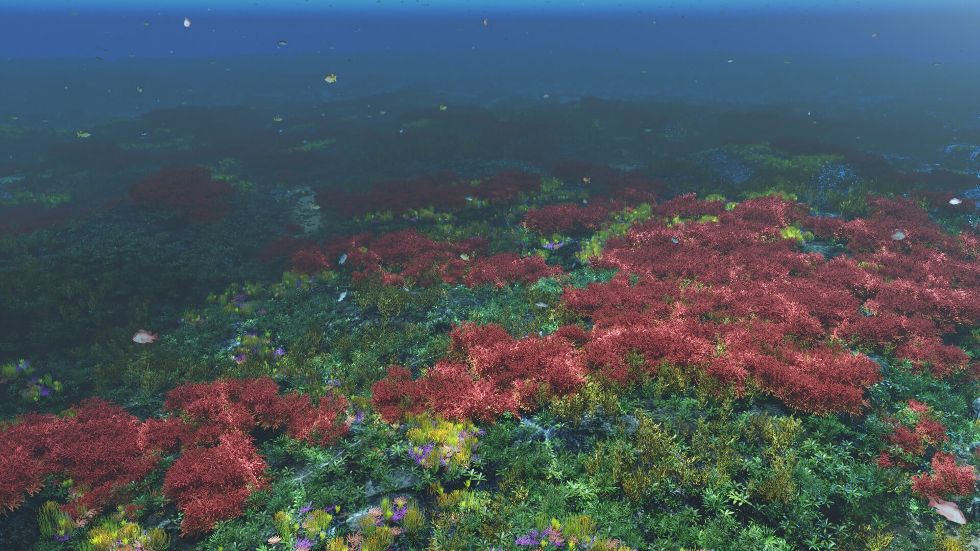 Underwater Seabed - 3D Model by raffyraffy