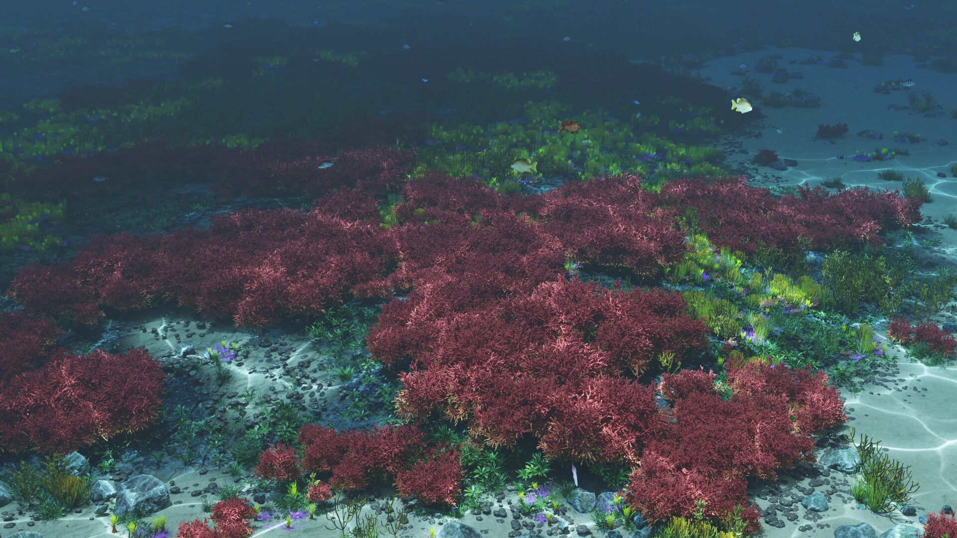 Underwater Seabed - 3D Model by raffyraffy