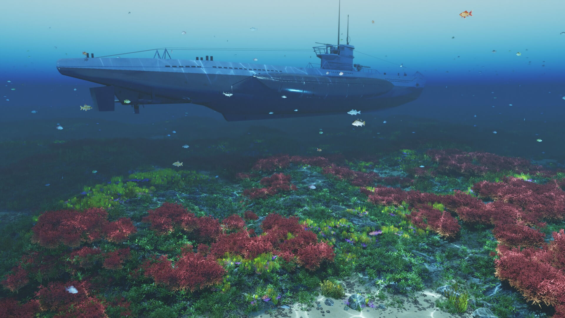 Underwater Seabed - 3D Model by raffyraffy