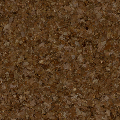 Anatomy Seamless Texture by zames1992d