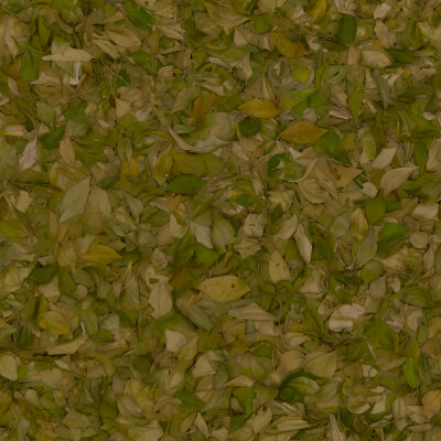 Horror Seamless Texture by zames1992d