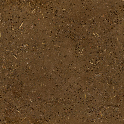 Mossy Ground Seamless Texture by chamsb11