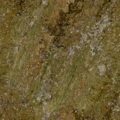 Pbr Textures | Textures | Moss | RenderHub