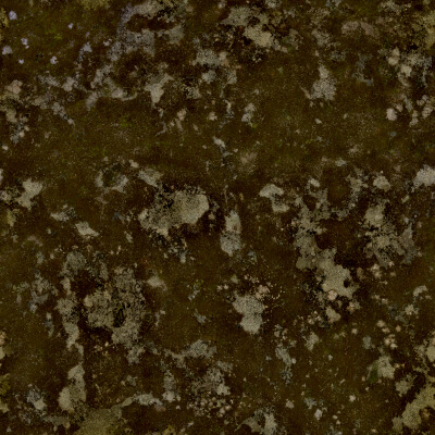 Pbr Textures | Textures | Moss | RenderHub