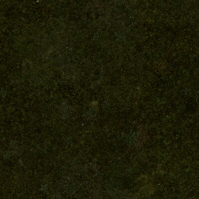 2K Textures | Textures | Moss | RenderHub