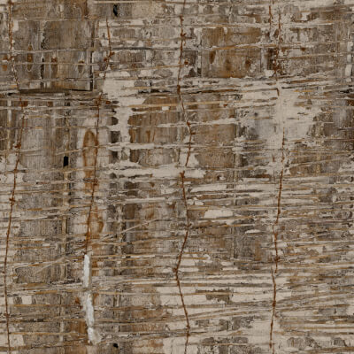 3D Bundles | Textures | Plaster | RenderHub