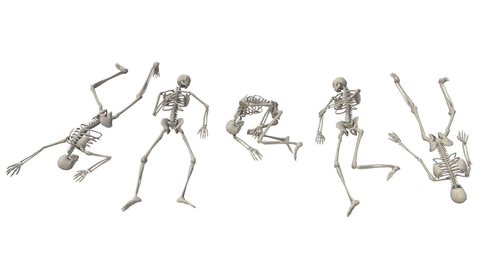 Skeleton Laying Poses - 3D Model by RandomPolygons