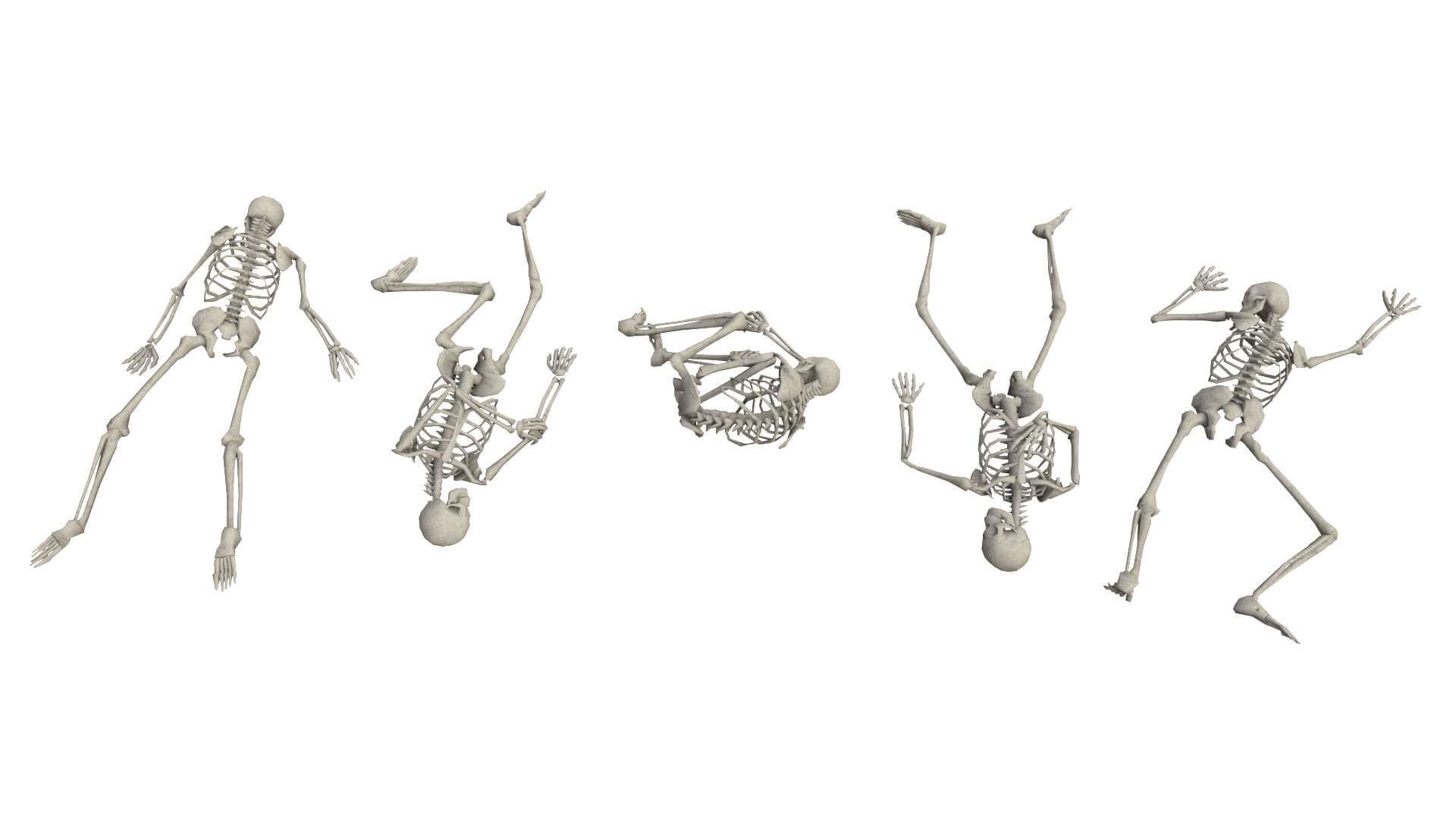 Skeleton Laying Poses - 3D Model by RandomPolygons