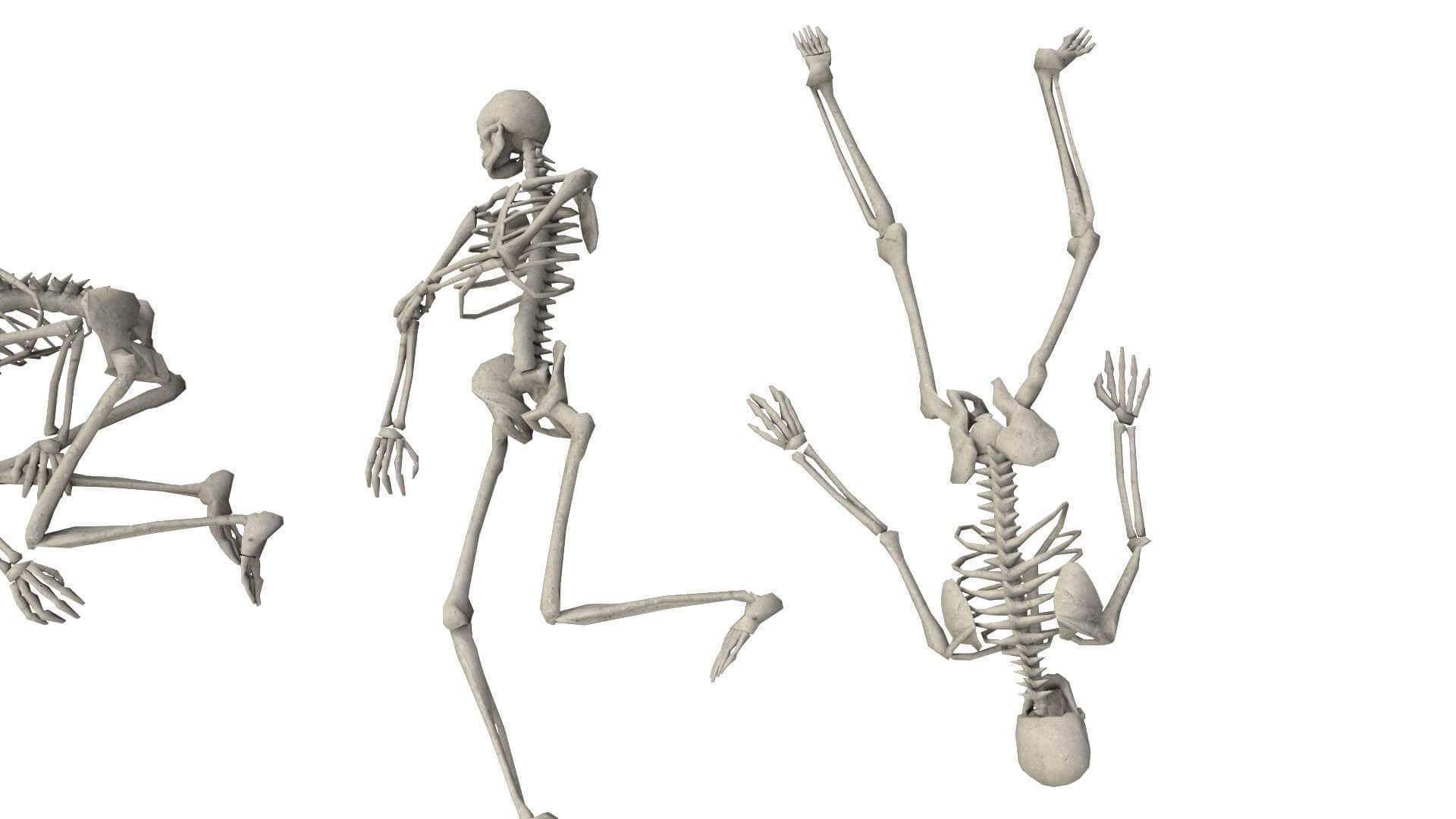 Skeleton Laying Poses - 3D Model by RandomPolygons