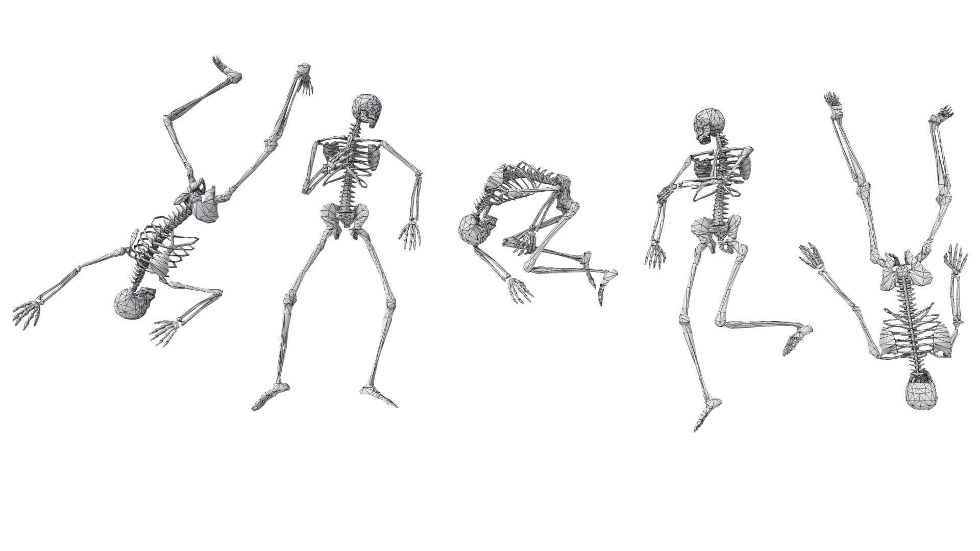 Skeleton Laying Poses - 3D Model by RandomPolygons