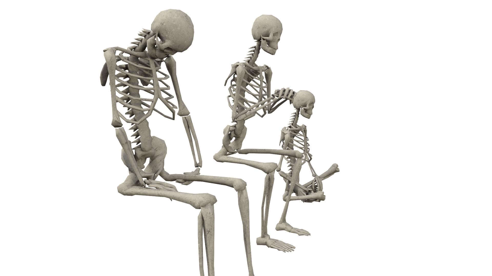 Skeleton Sitting Poses - 3D Model by RandomPolygons