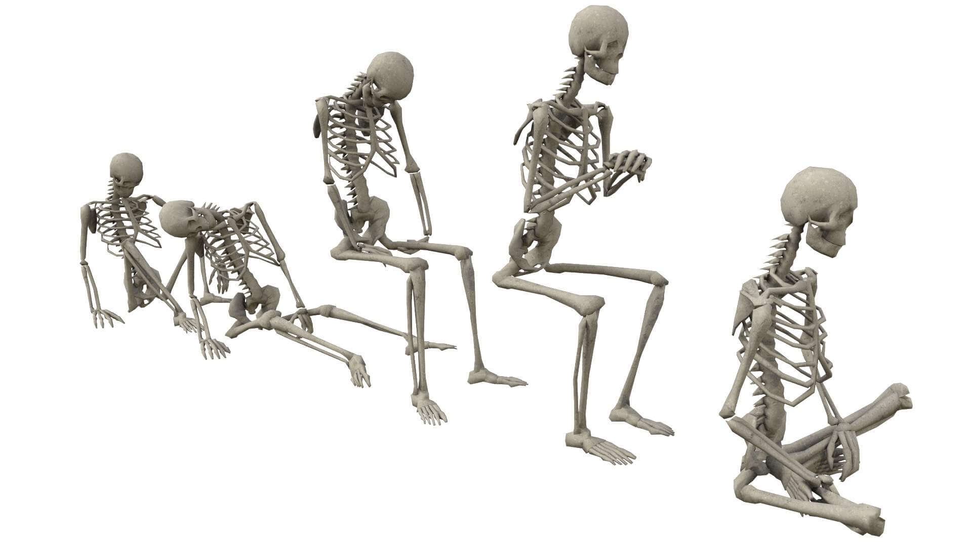 Skeleton Sitting Poses - 3D Model by RandomPolygons