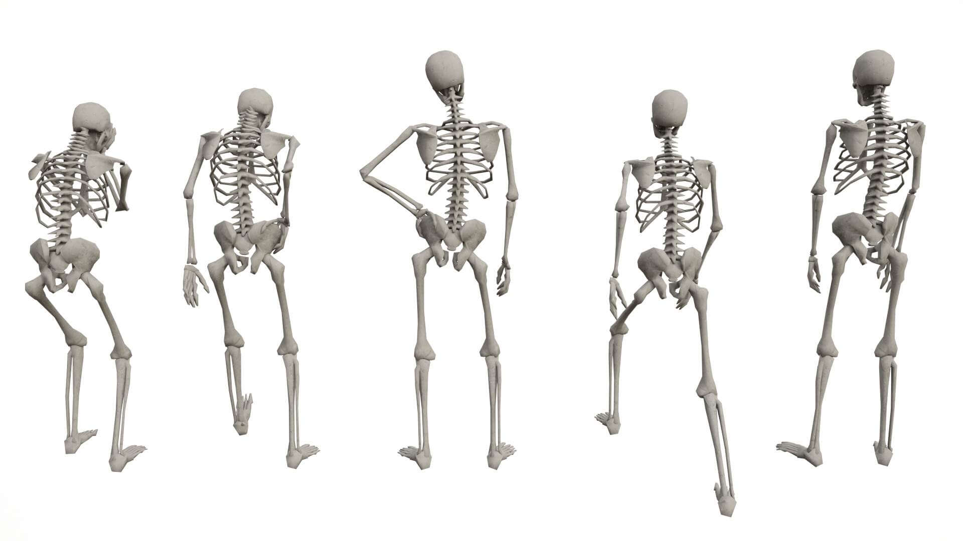 Skeleton Standing Poses - 3D Model by RandomPolygons