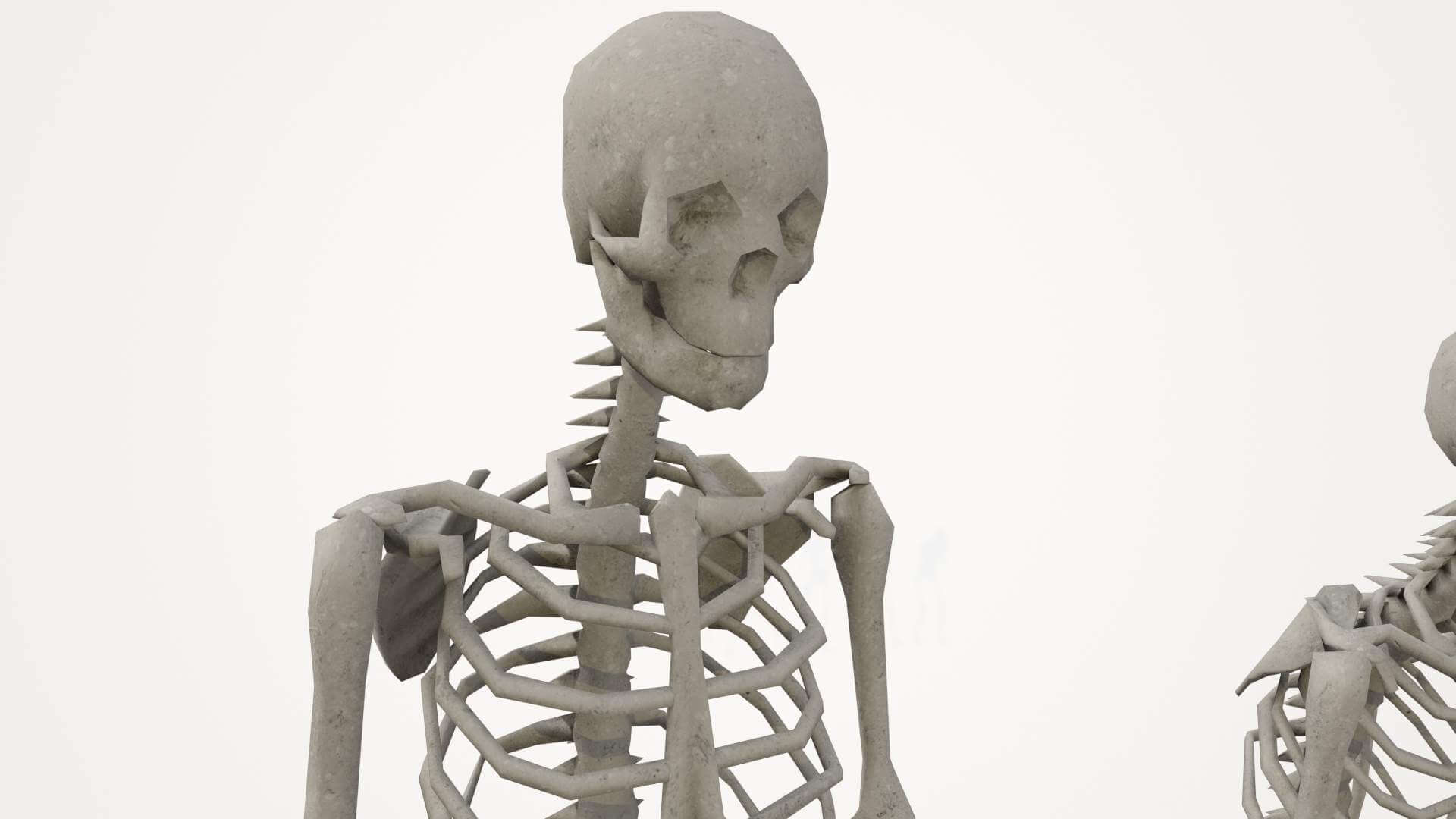 Skeleton Standing Poses - 3D Model by RandomPolygons