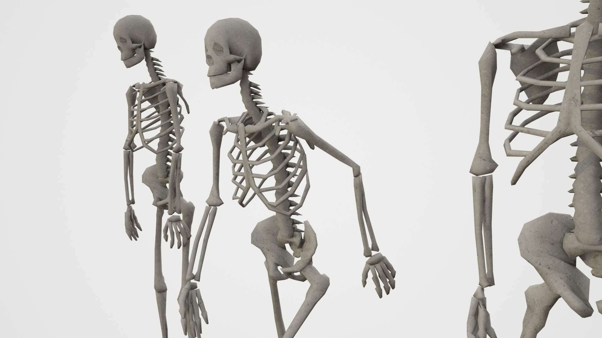 Skeleton Standing Poses - 3D Model by RandomPolygons