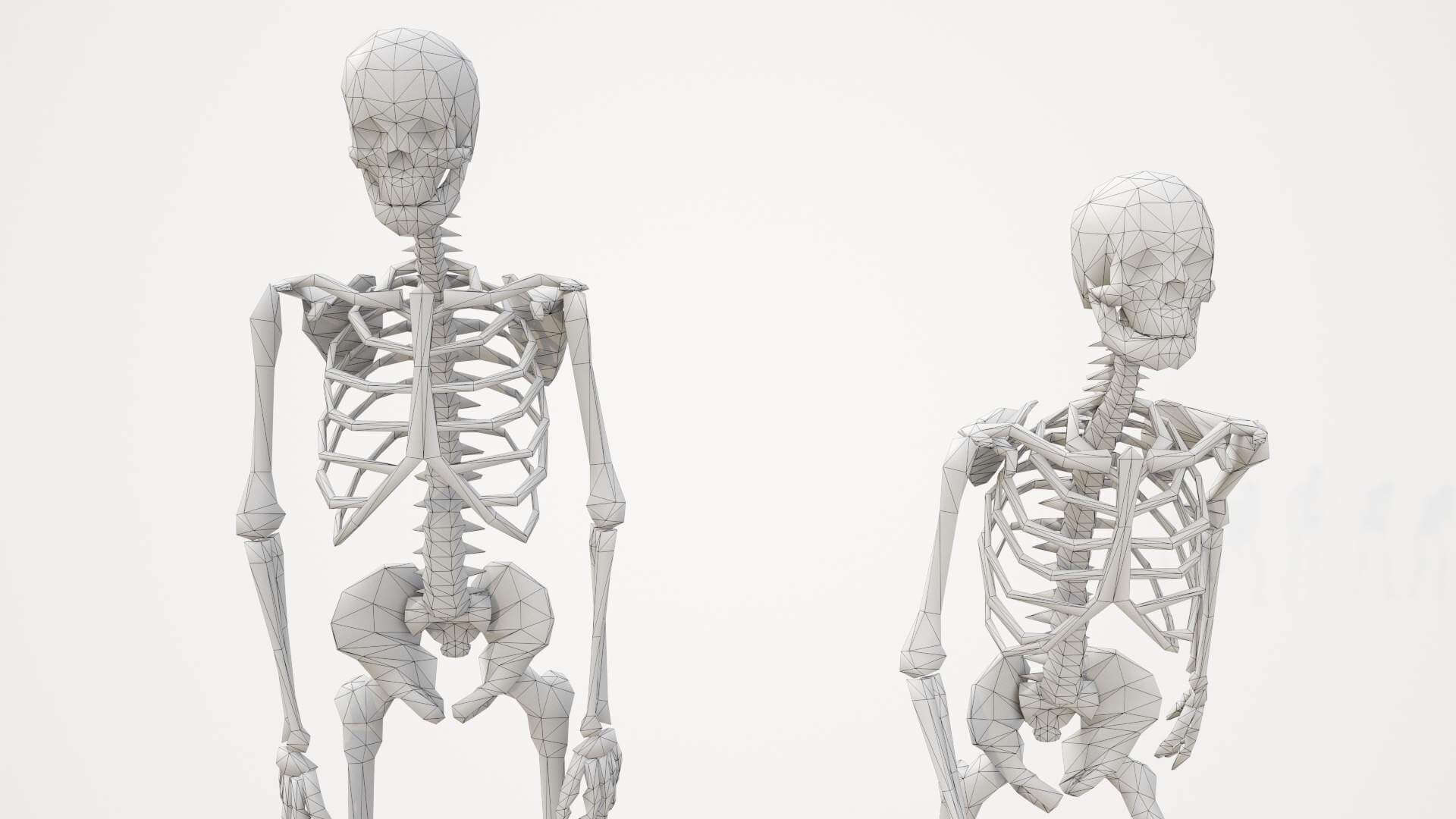 Skeleton Standing Poses - 3D Model by RandomPolygons