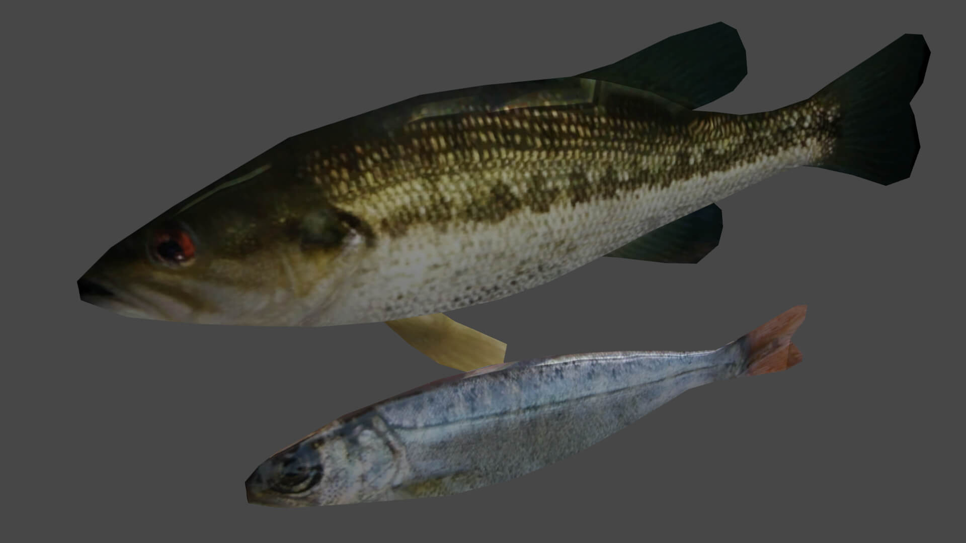 Big and Small Fish Free 3D Models by Rango2001