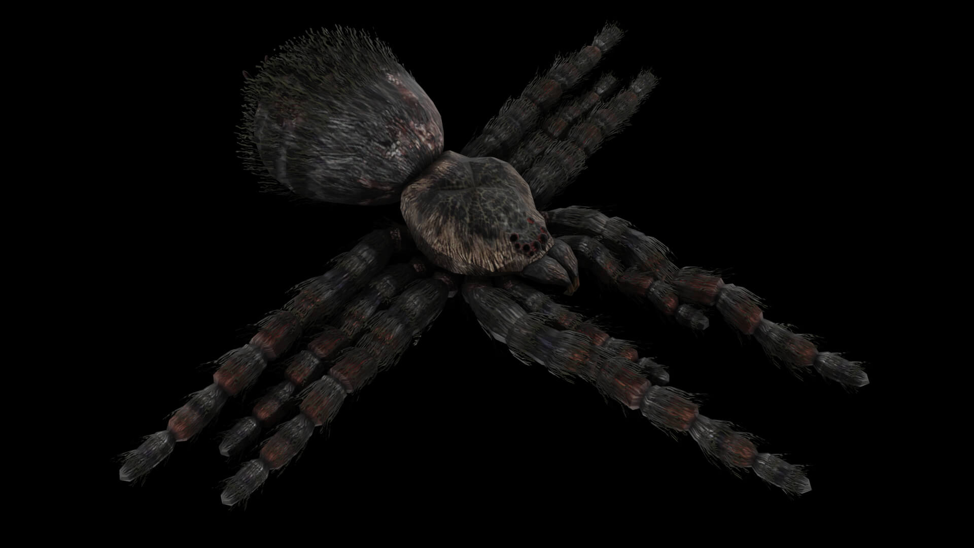Monster Spider 3D Free by Rango2001
