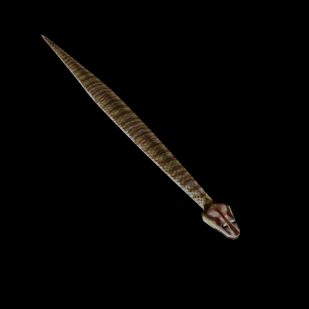 Python Fee 3D Model by Rango2001