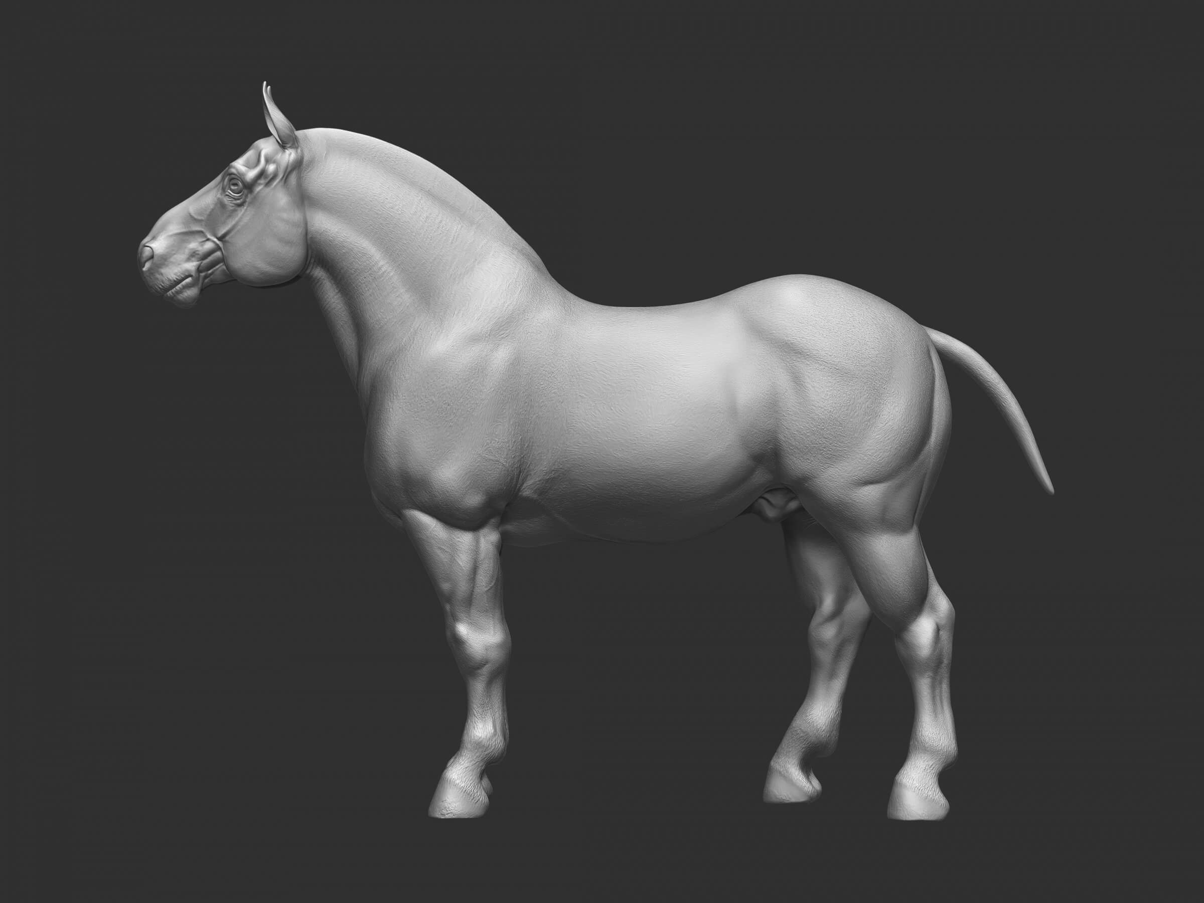 Draft Horse - 3D Model by rbonnacoelho