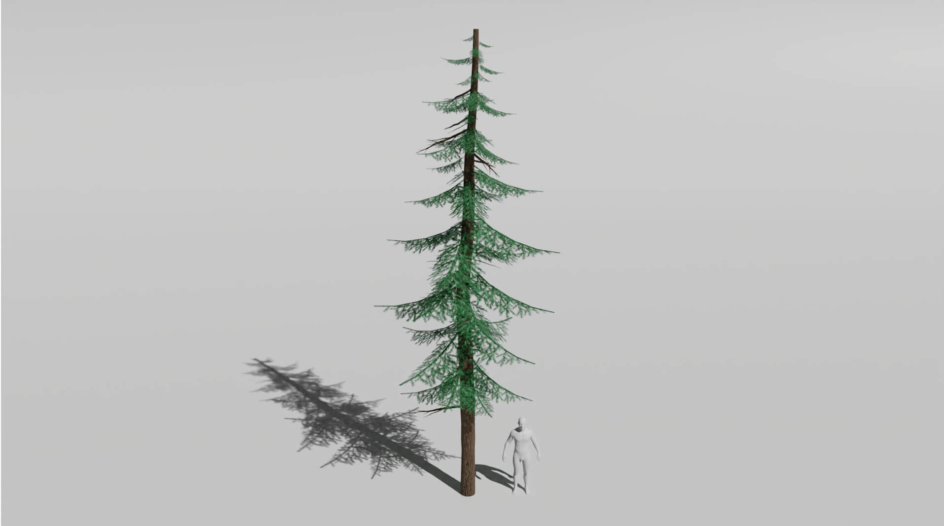 Pine Trees 3D Pack High Quality Models by ready4render