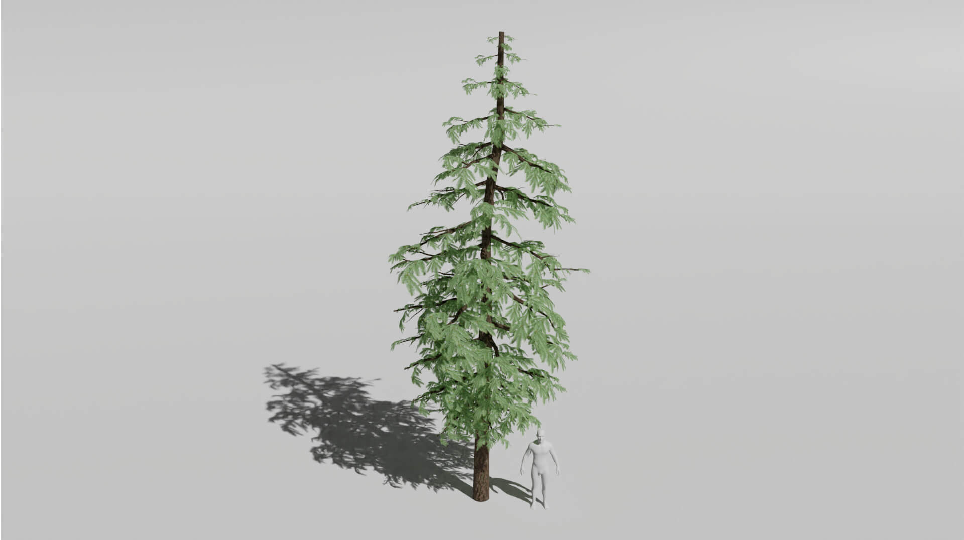 Pine Trees 3D Pack High Quality Models by ready4render
