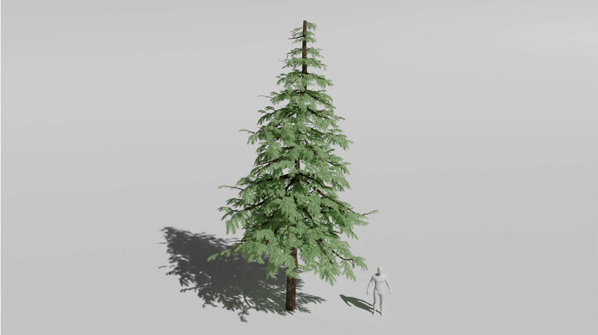 Pine Trees 3D Pack High Quality Models by ready4render