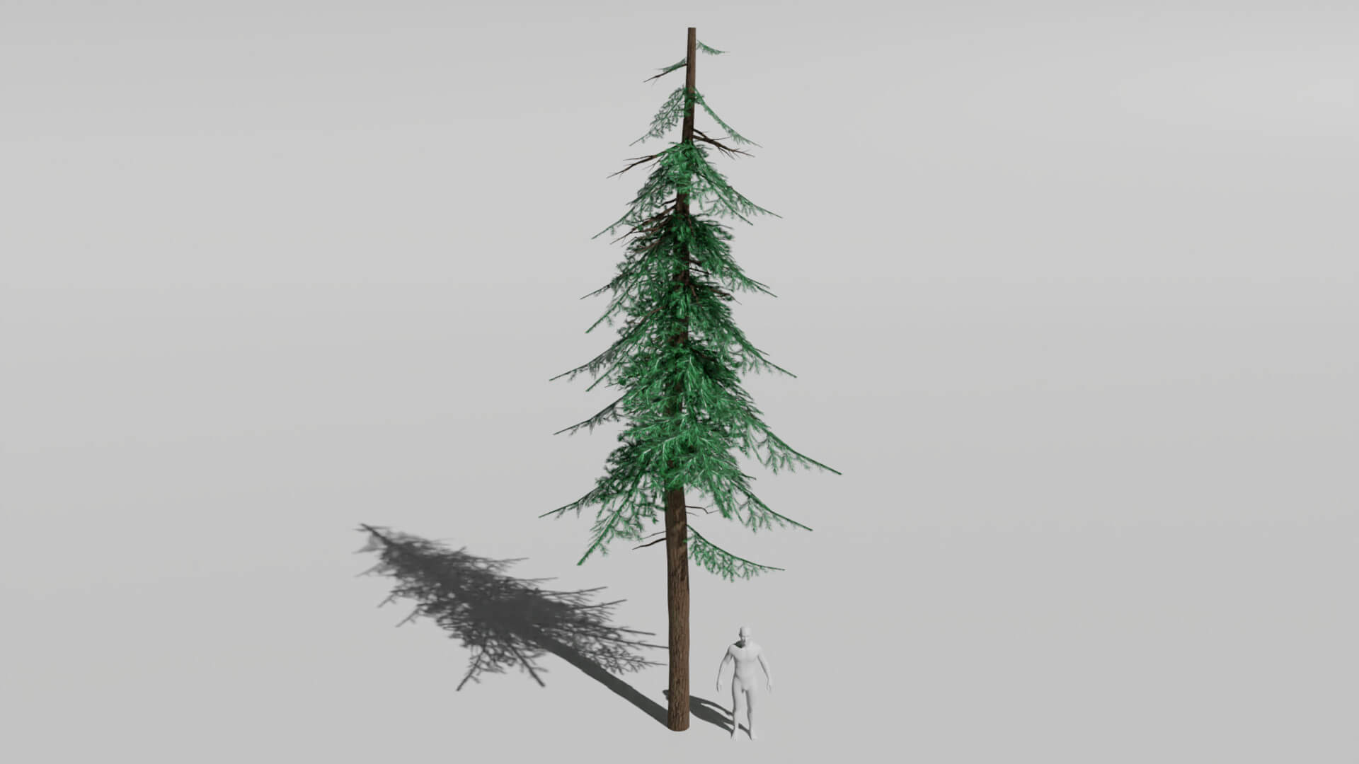 Pine Trees 3D Pack High Quality Models by ready4render