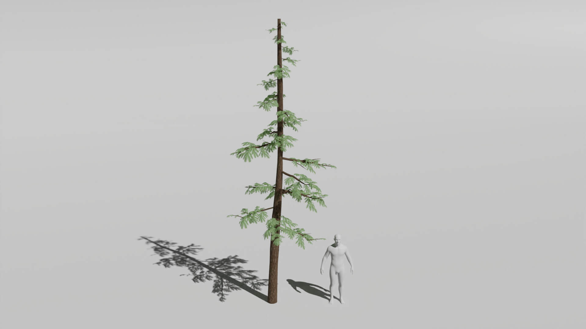 Pine Trees 3D Pack High Quality Models by ready4render