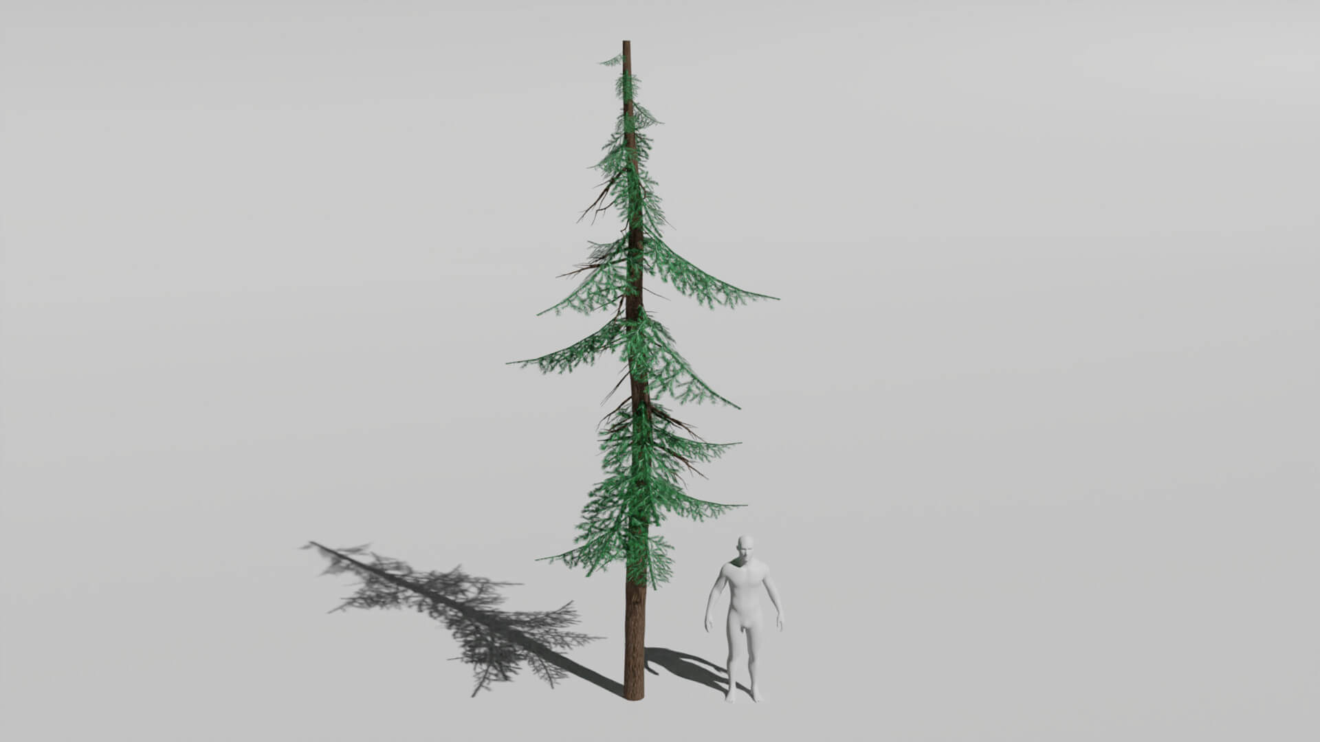 Pine Trees 3D Pack High Quality Models by ready4render