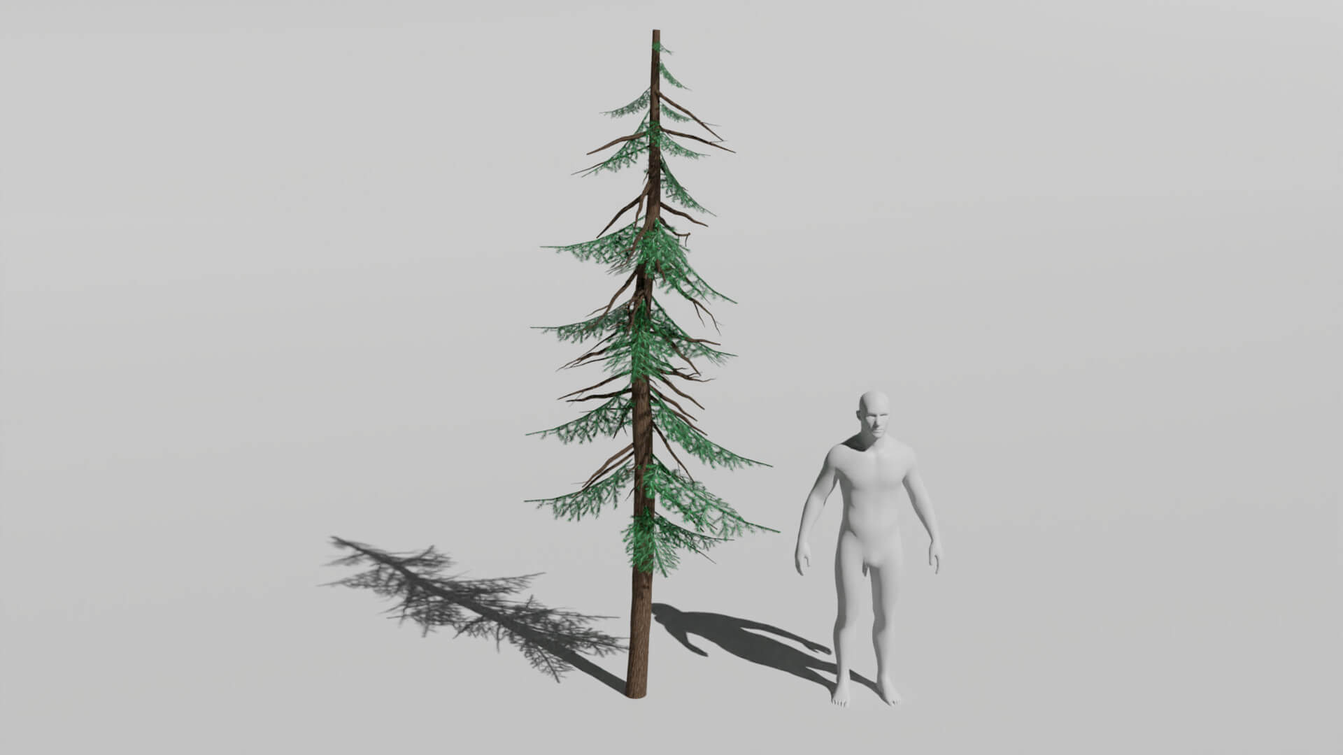 Pine Trees 3D Pack High Quality Models by ready4render