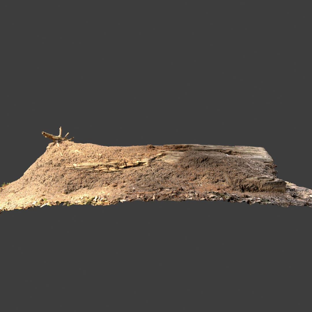 Ant Nest Log - 3D Model by realityscanning