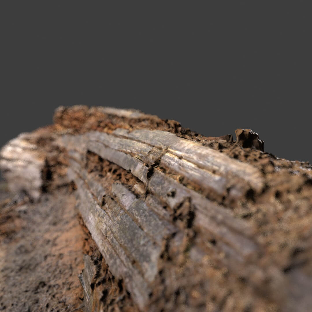 Ant Nest Log - 3D Model by realityscanning