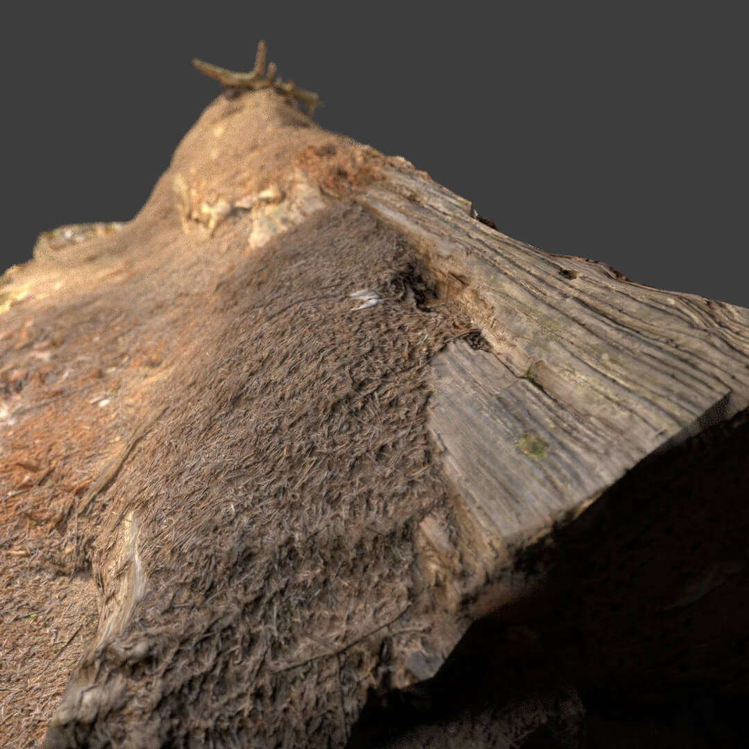 Ant Nest Log - 3D Model by realityscanning