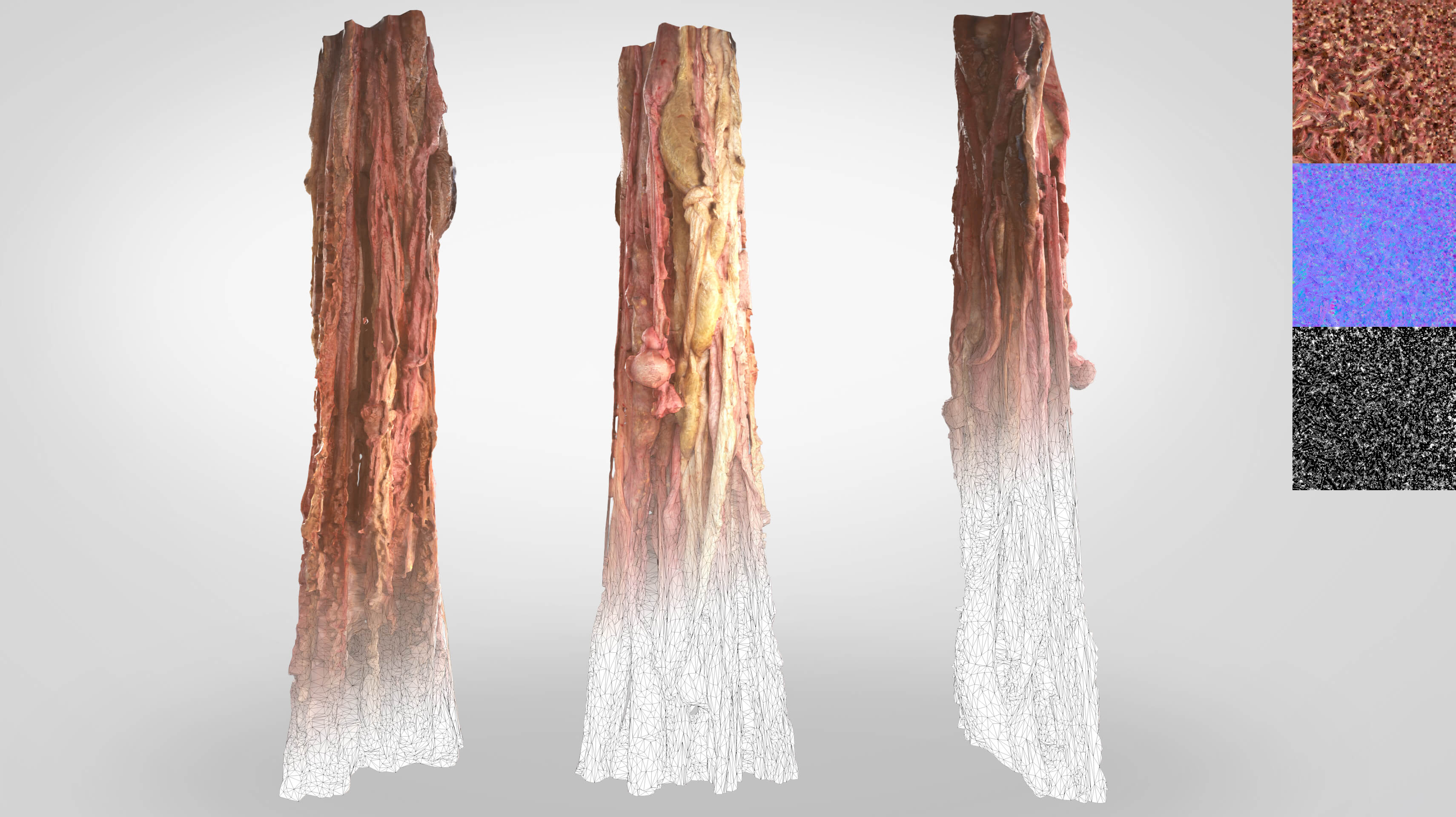 Butchered Meat Pack Vol. 2 - 3D Model by realityscanning