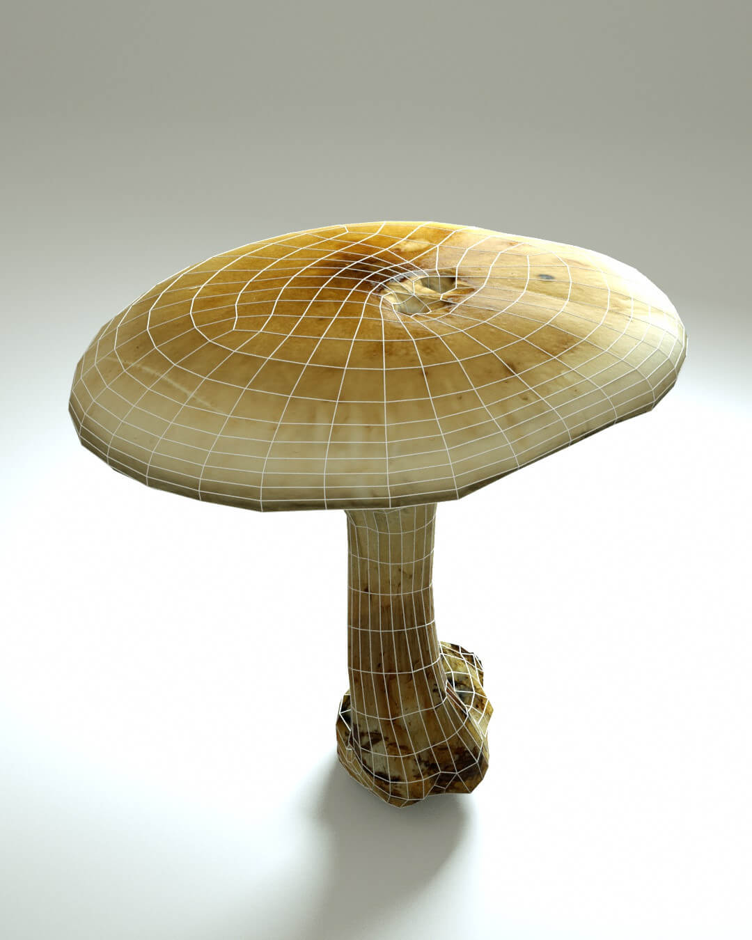 Forest Mushroom - 3D Model by realityscanning