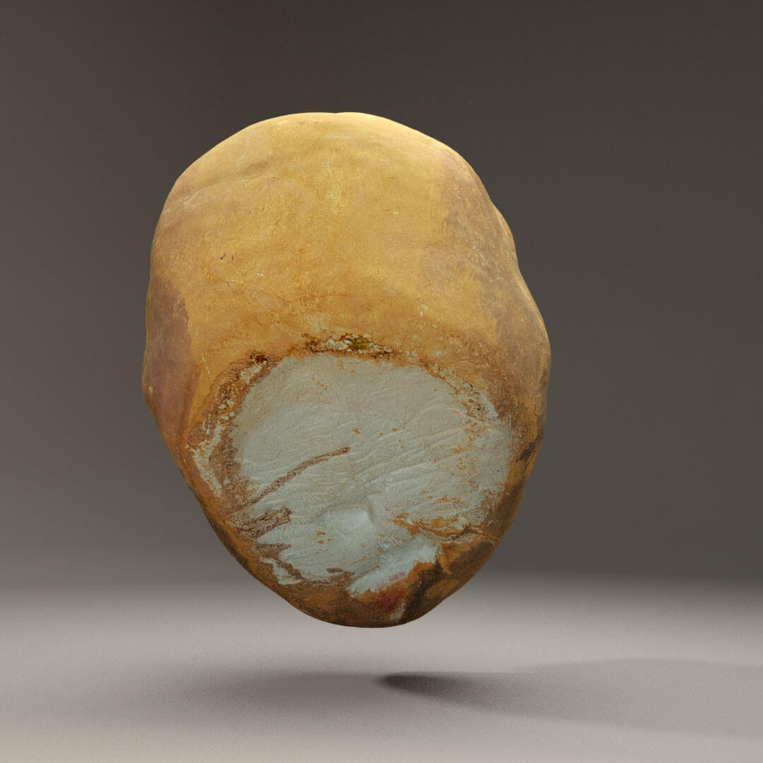 Funky Head Decoration - Free 3D Model by realityscanning