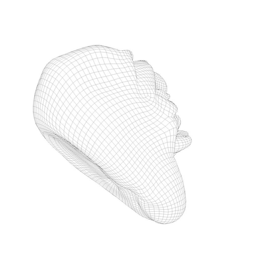 Funky Head Decoration - Free 3D Model by realityscanning