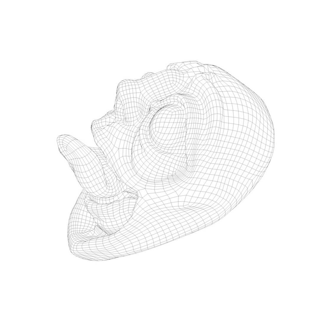 Funky Head Decoration - Free 3D Model by realityscanning