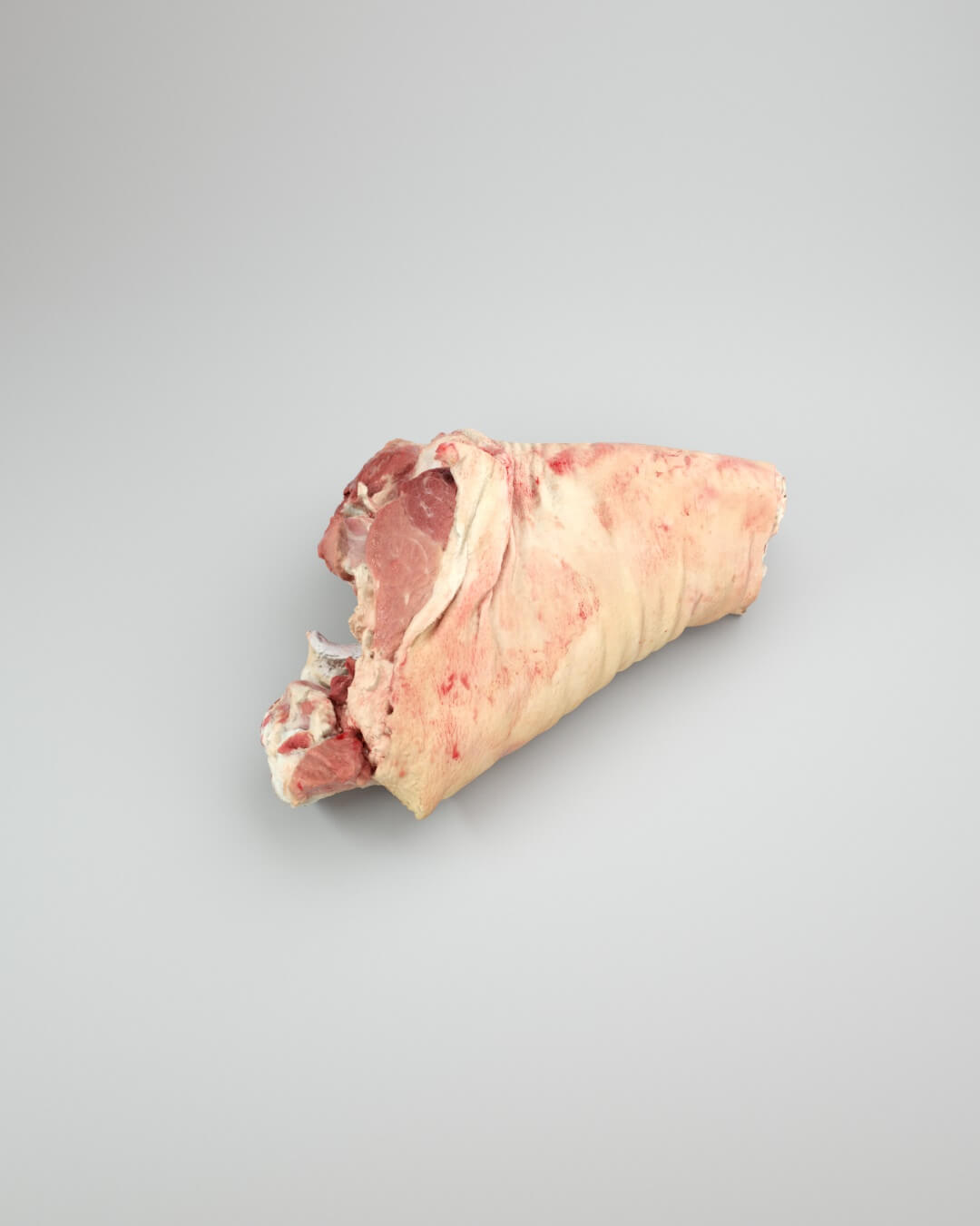 Pig Leg - 3D Model by realityscanning