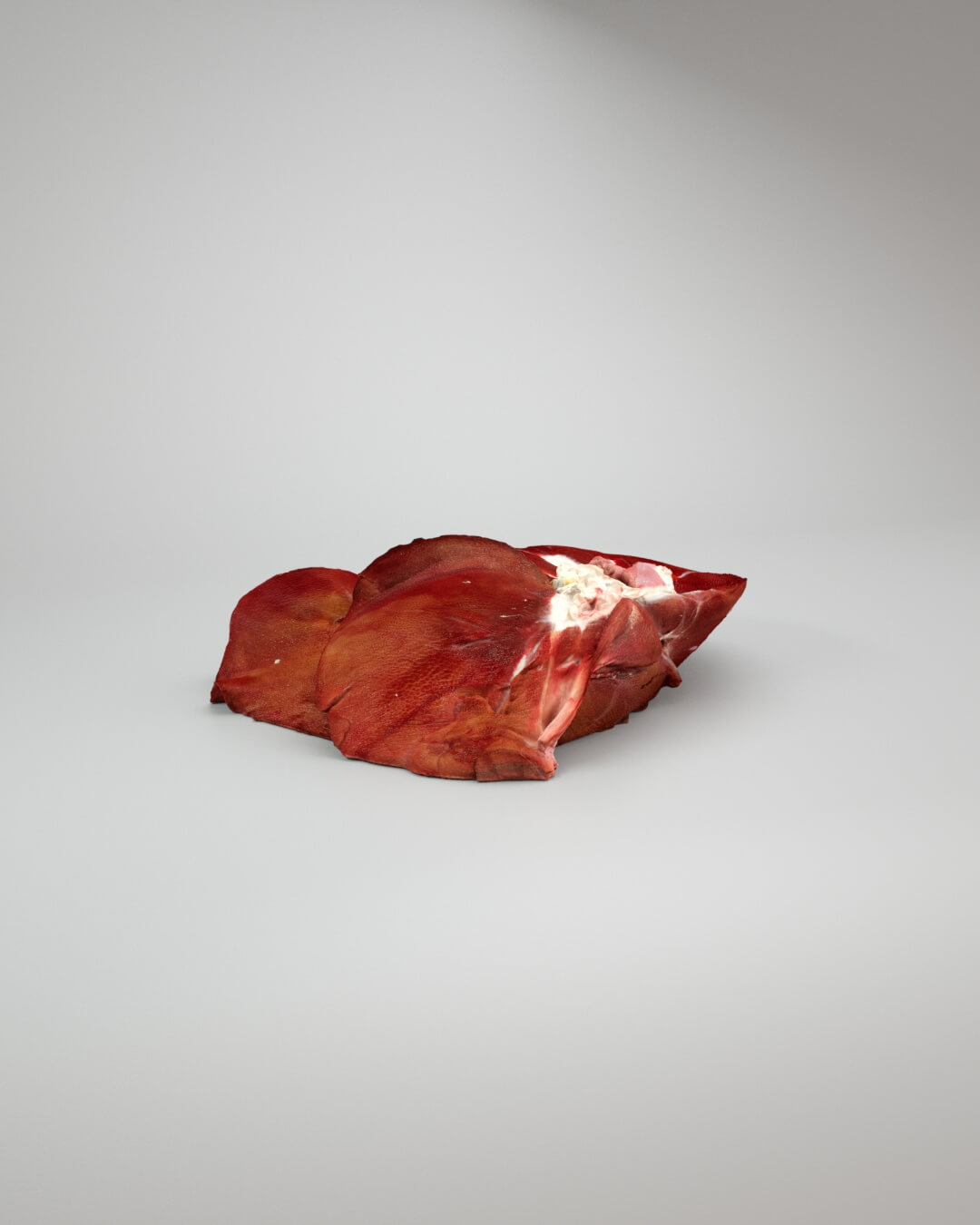 Pig Liver - 3D Model by realityscanning