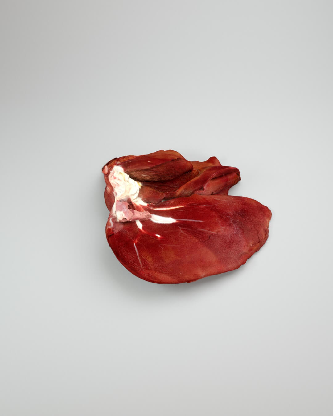 Pig Liver - 3D Model by realityscanning