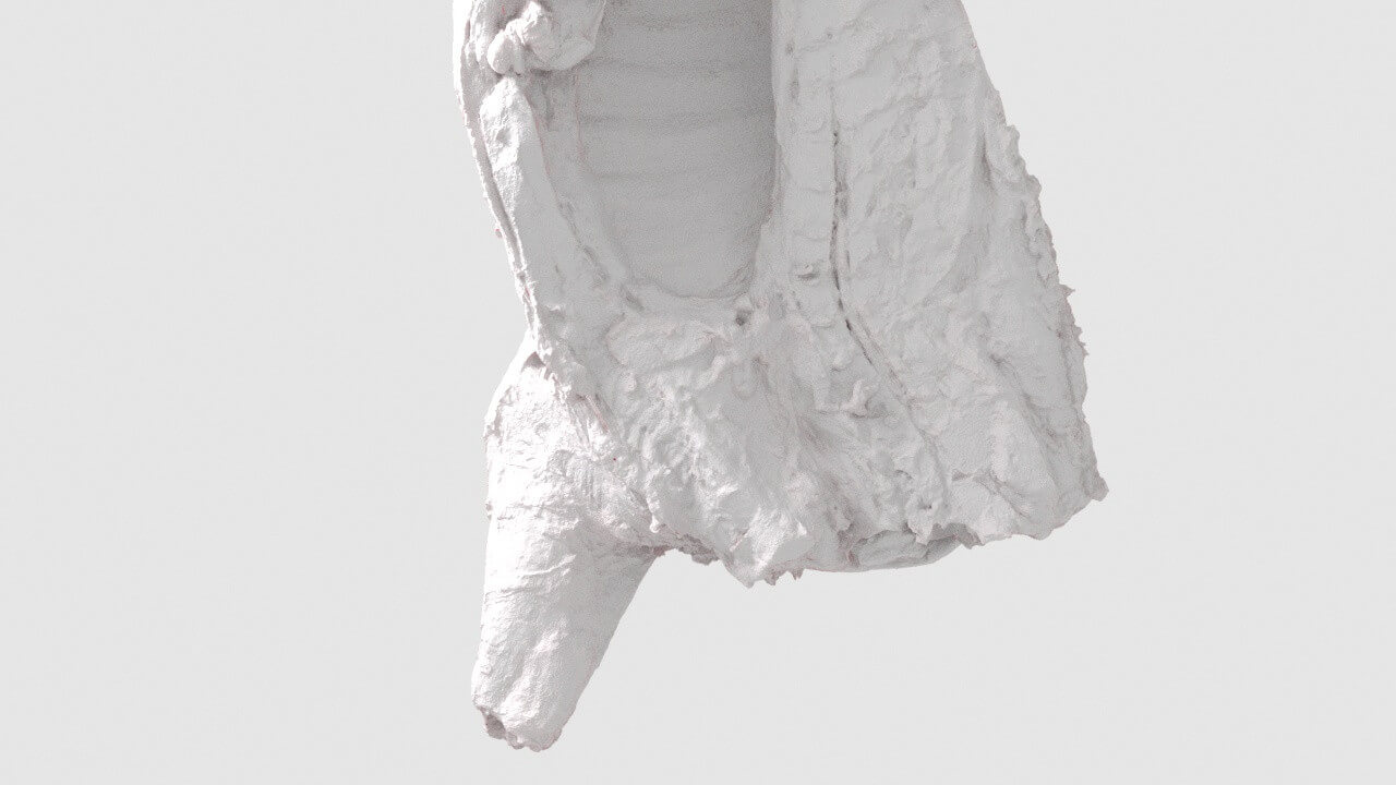 Pork Body Half 2 - 3D Model by realityscanning