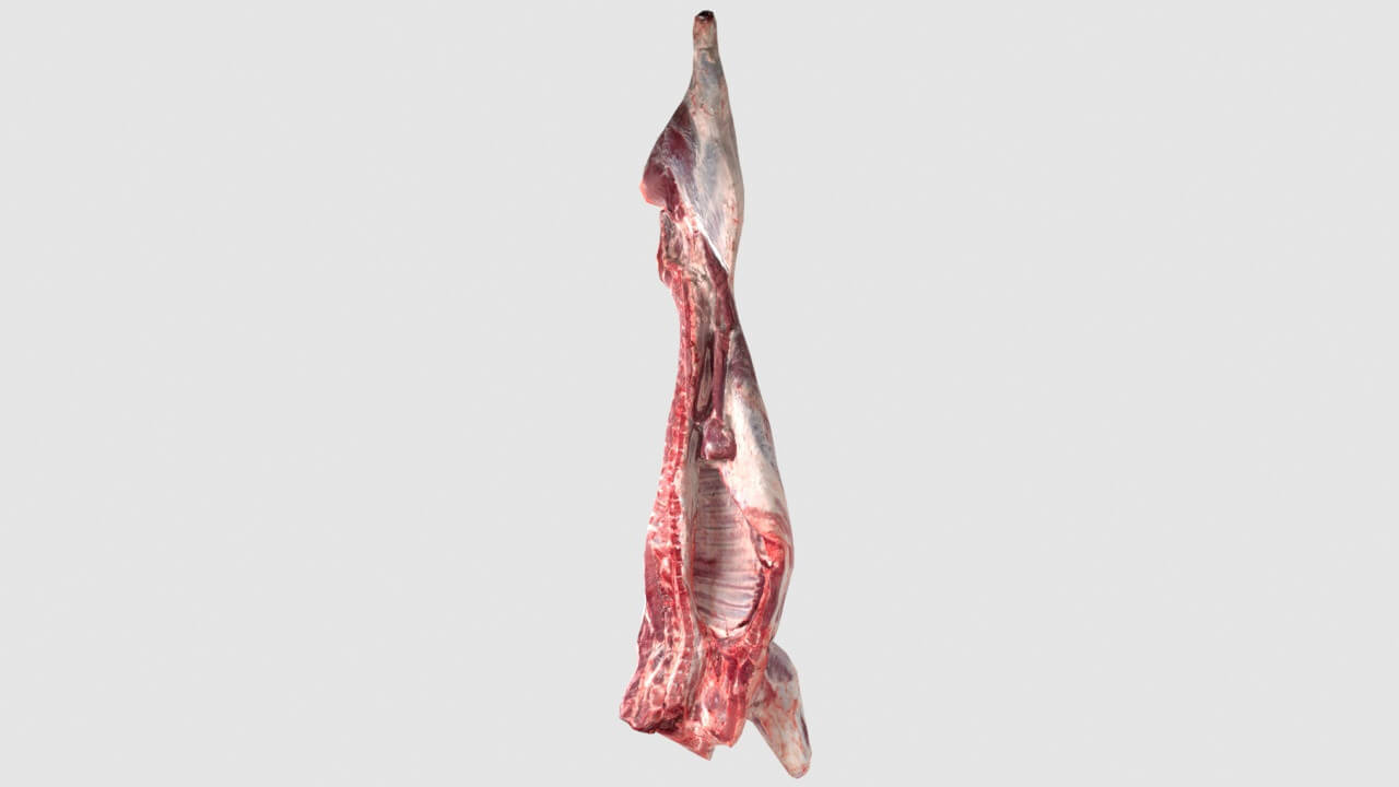 Pork Body Half - 3D Model by realityscanning
