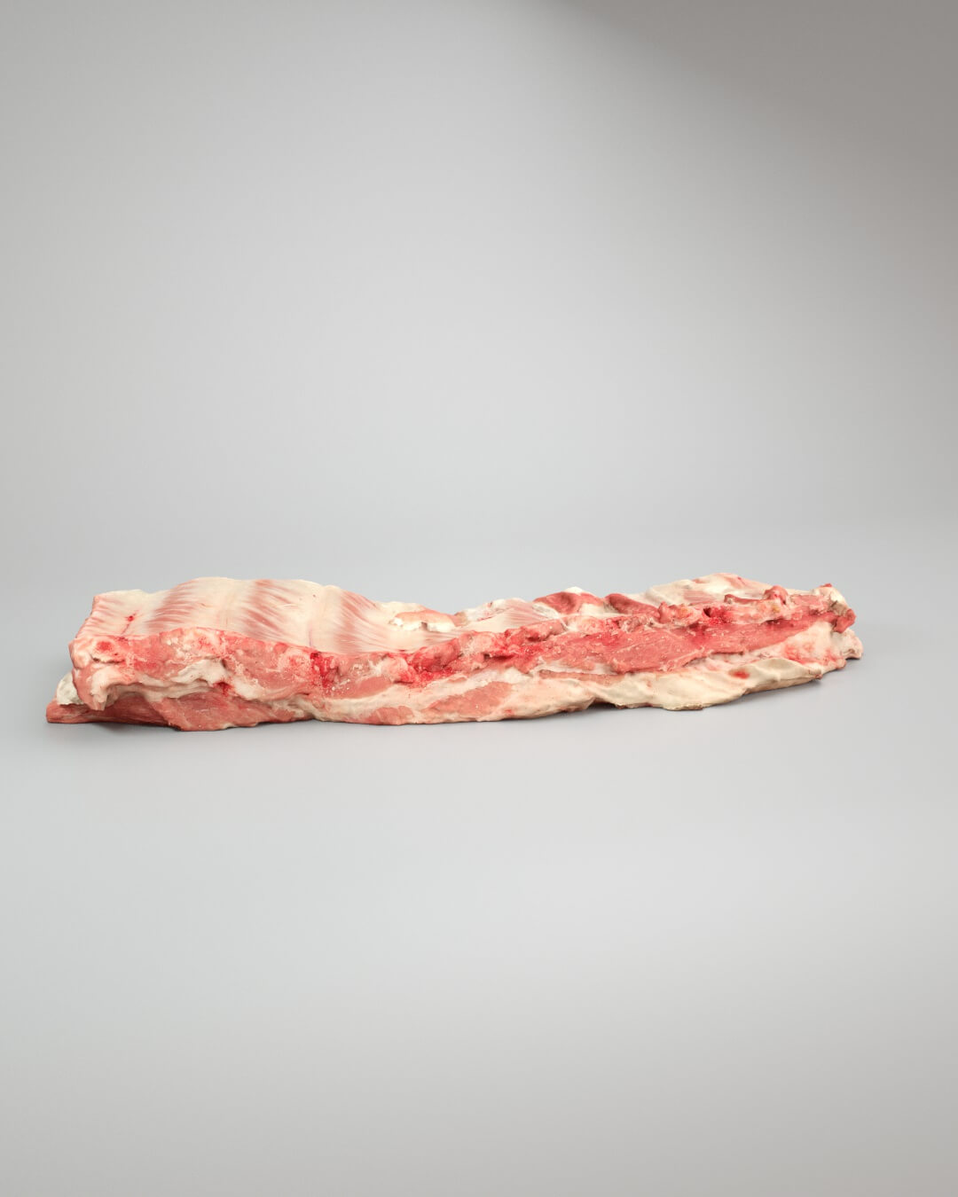 Pork Meat 10 Pack - 3D Model by realityscanning