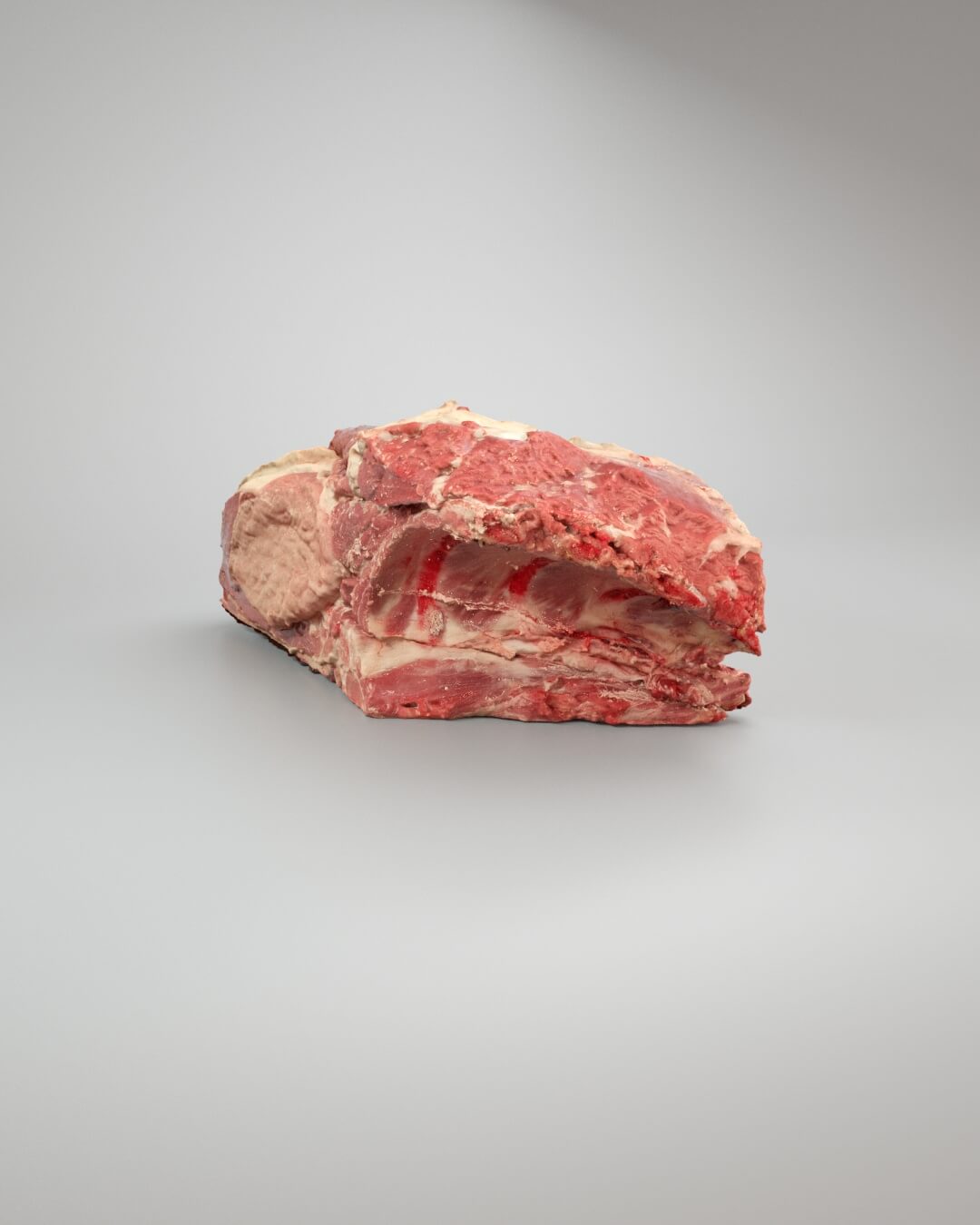 Pork Meat - 3D Model by realityscanning